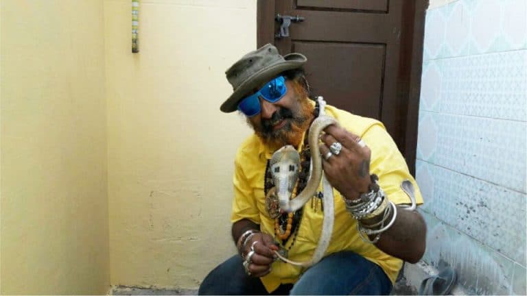 32K and still counting: A Spectacled Cobra makes Snake Shyam record his ...