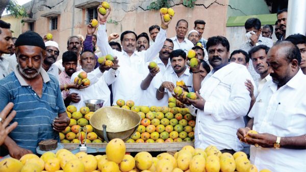 Month-long ‘Mango Mela’ begins in city - Star of Mysore