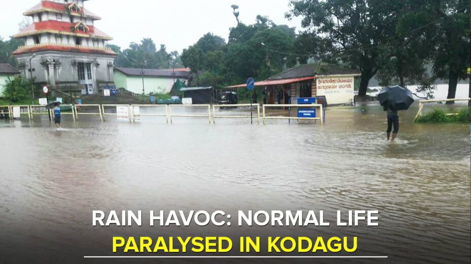 Finally, it's raining in Kodagu - Star of Mysore