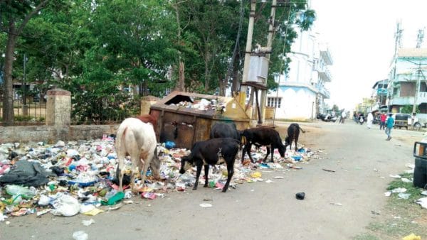 Overflowing garbage bin near Al-Badar Masjid - Star of Mysore
