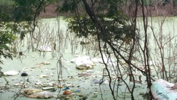 A stinking lake adjacent to Gopala Gowda Hospital - Star of Mysore