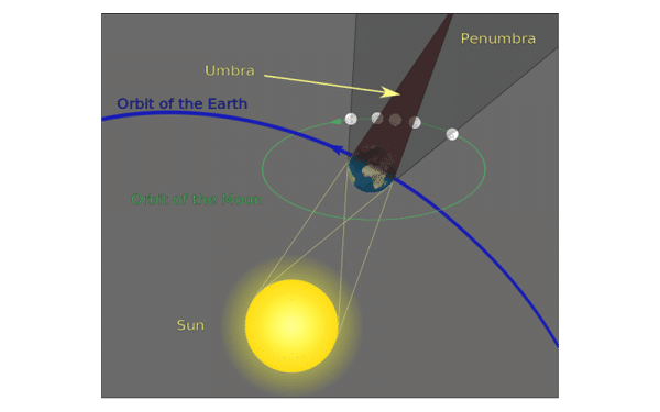 Once in a Blue Moon - Star of Mysore