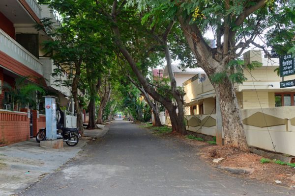 Star of Mysore Online