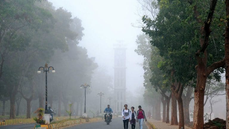 Cold spell grips Mysuru; expect further drop in temperature - Star of ...