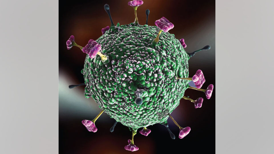 The Nipah Virus Scare! - Star of Mysore
