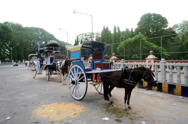 Vanishing Tongas... - Star of Mysore