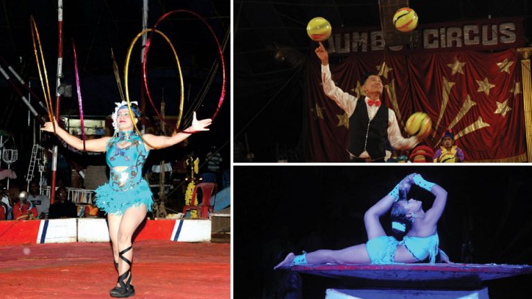 Jumbo Circus Archives - Star of Mysore