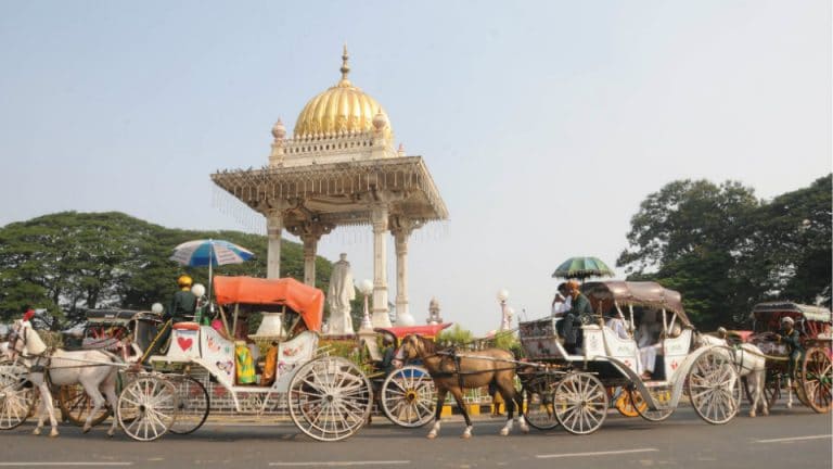 Heritage Cycle Savari, Walk, Tonga Ride in city - Star of Mysore