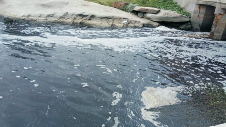 Shimsha river water unfit for drinking, says KSPCB report - Star of Mysore