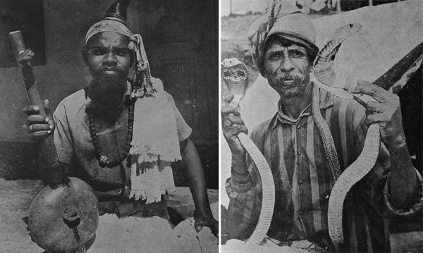 Vanishing people, livelihood: Nomads on the Face of Fading Tradition ...