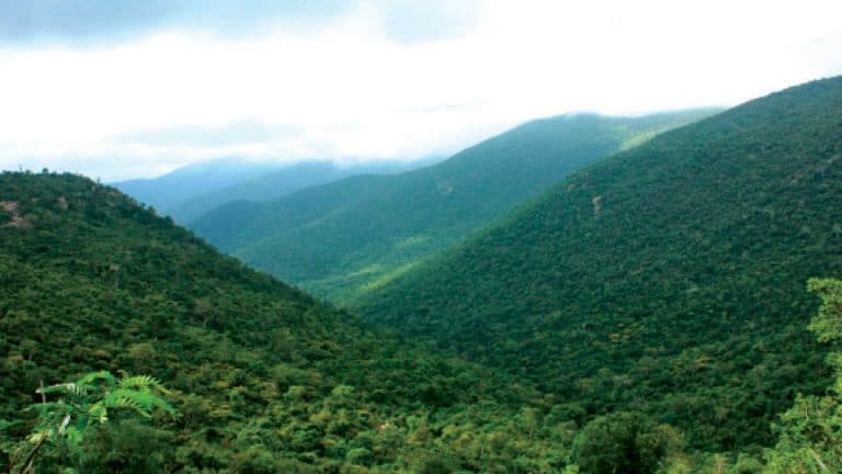 MM Hills set to become State’s sixth Tiger Reserve - Star of Mysore