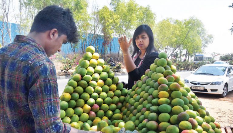 Mango Mania: Mysureans go gaga over Mangoes - Star of Mysore