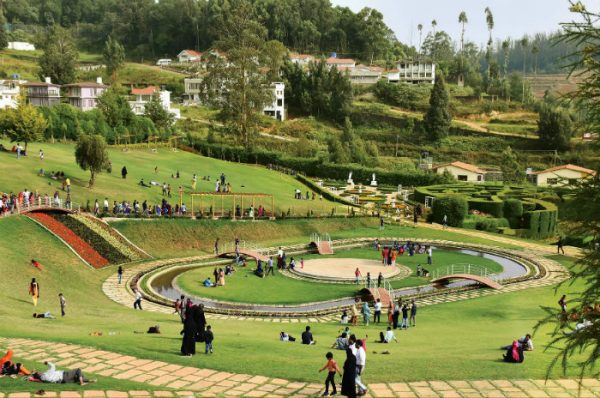 Ferntastic: A potato farm blooms into State’s Siri Garden - Star of Mysore