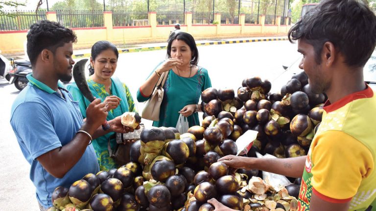 Beat the heat with Thaati Nungu - Star of Mysore