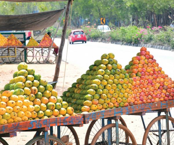 Mango Mania: Mysureans go gaga over Mangoes - Star of Mysore
