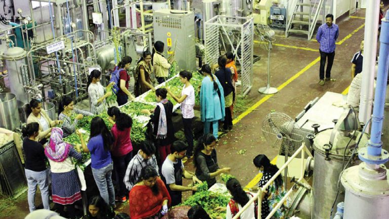 CFTRI, DFRL food to cyclone-hit victims - Star of Mysore