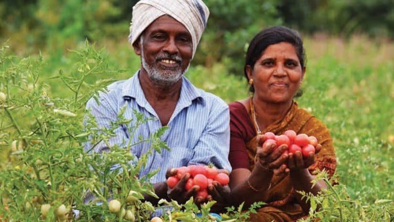Organic Seed Production workshop for farmers, gardeners on June 29 ...