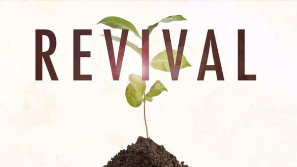 Revival for Survival - Star of Mysore