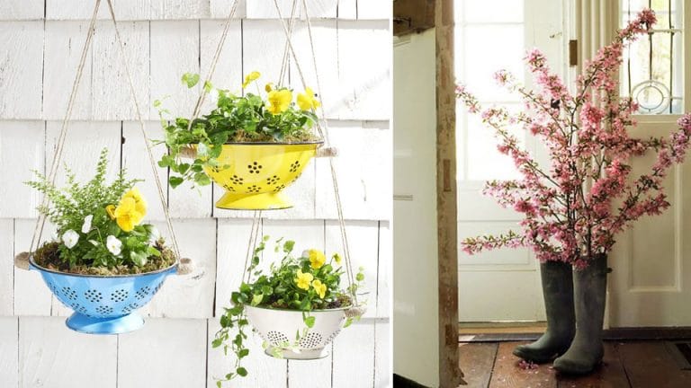 5-Budget-friendly flower Hacks for your newly delivered Flowers that ...