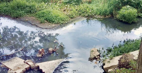 Sewage turns to Froth: Sullage water flows unchecked into pristine ...