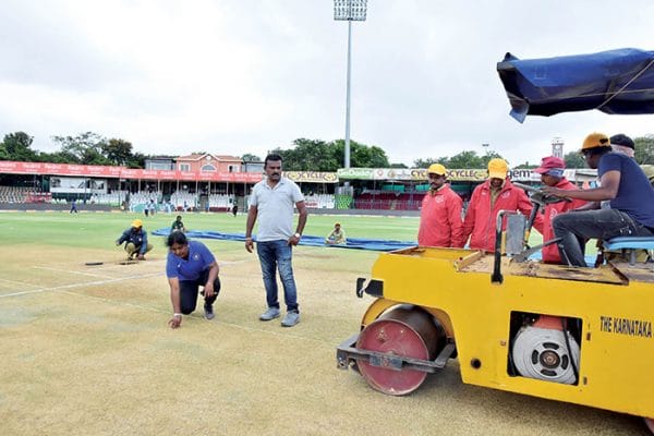 Meet India's first woman pitch curator - Star of Mysore