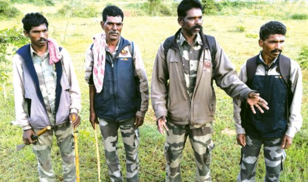 Soligas track elusive tiger - Star of Mysore