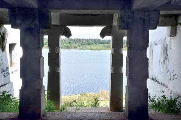 Lingambudhi Kere: The lake for all seasons needs a makeover - Star of ...