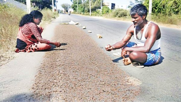 Seegadi Saaru: Delicacy from river side - Star of Mysore