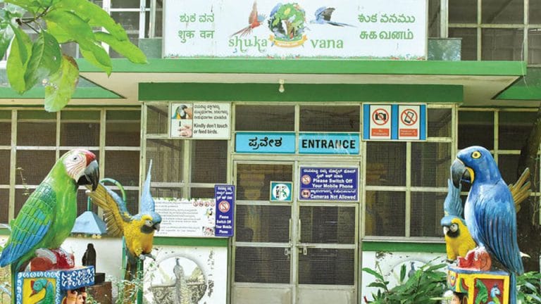 Shuka Vana, Bonsai Garden at Ganapathy Ashram temporarily closed - Star ...