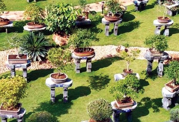 Shuka Vana, Bonsai Garden at Ganapathy Ashram temporarily closed - Star ...