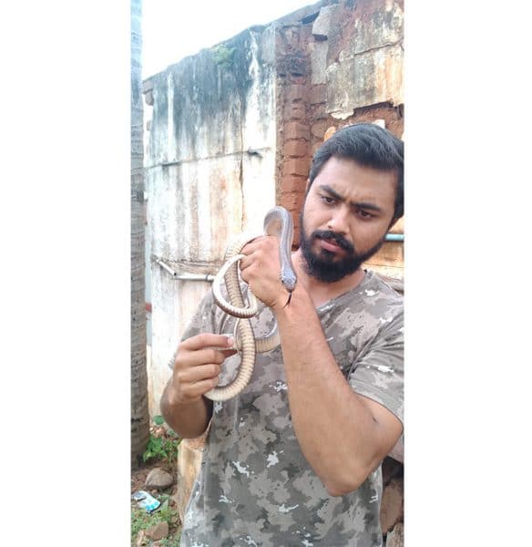 City Engineering grad’s tryst with Snakes - Star of Mysore