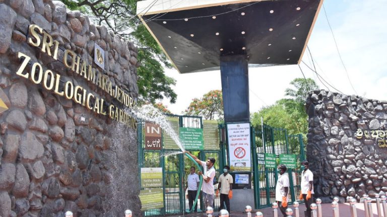 Zoo roaring to open on Monday - Star of Mysore