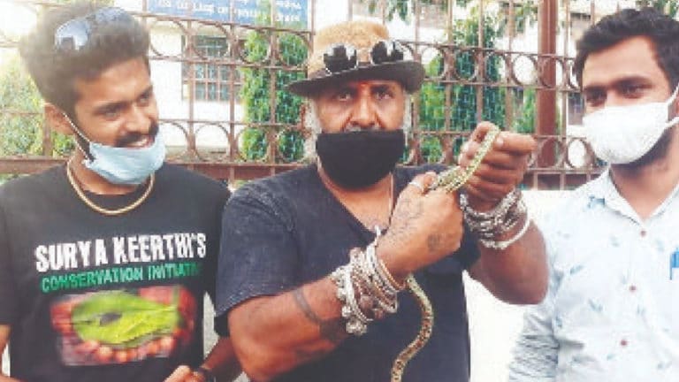 Snake Shyam rescues rare Ornate Flying Snake - Star of Mysore