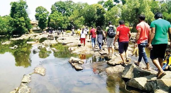 Tourist spot Dubare to get 110-metre-long hanging bridge - Star of Mysore