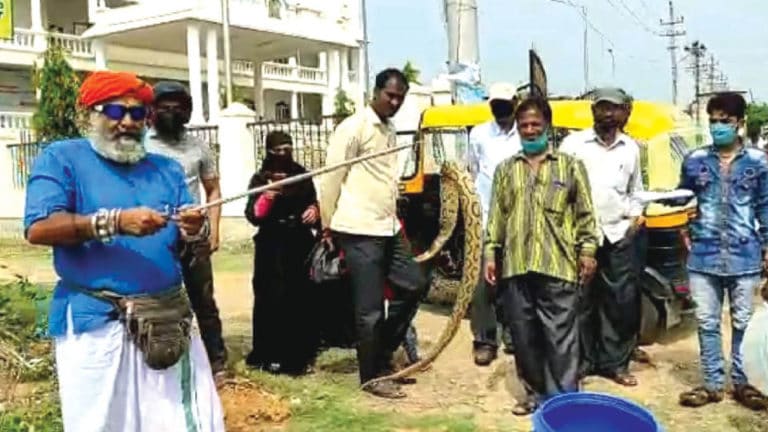 Snake Shyam rescues five snakes in two days - Star of Mysore