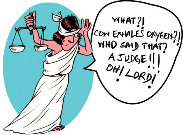 Cow Laws & Peacock Justice ! - Star of Mysore