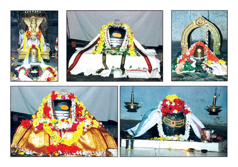 Virtual start for Talakad Panchalinga Darshana - Star of Mysore