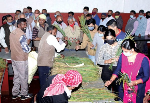 Puthari: Harvest Festival celebrated amidst caution - Star of Mysore
