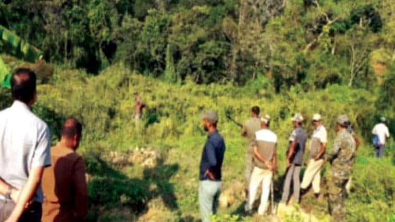 Tiger on the prowl in South Kodagu: 24-day search sees little success ...