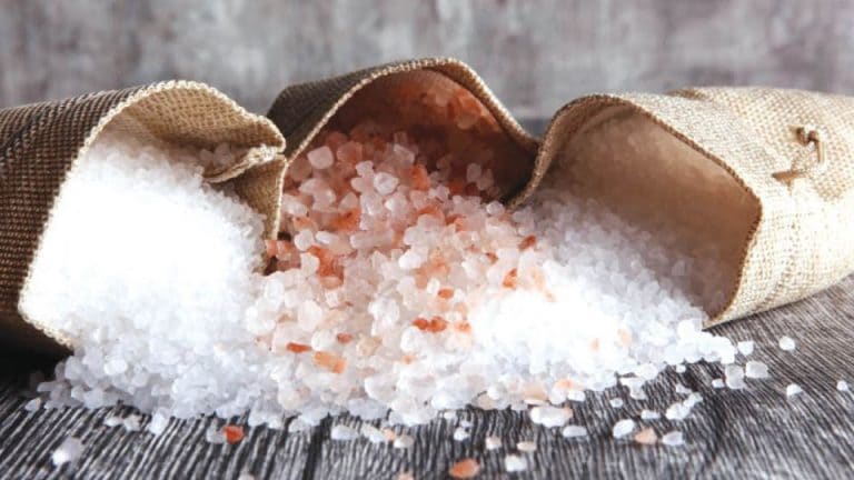 Salt Magic - Star of Mysore