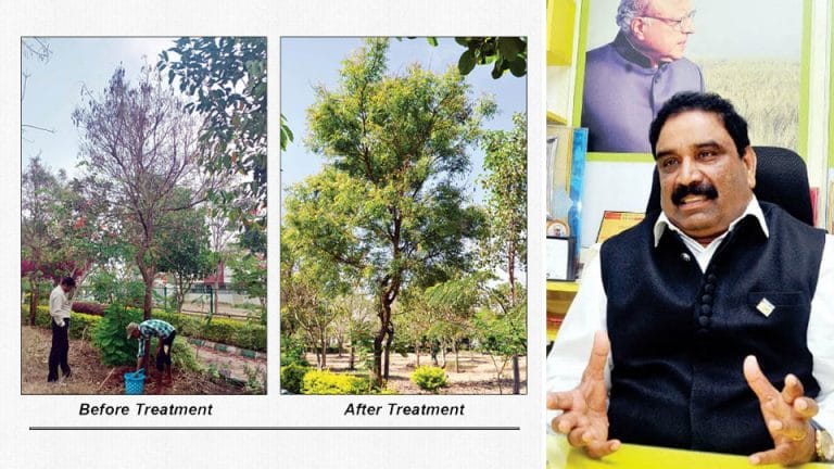 City scientist saves 10 dying Neem trees inside Park - Star of Mysore