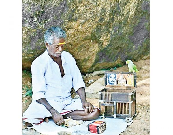 Men’s Biggest Misfortune! - Star of Mysore