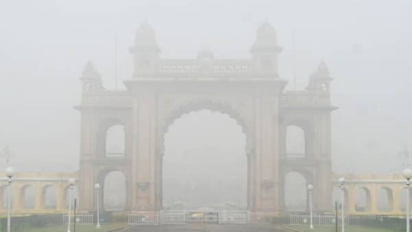 Winter is here! - Star of Mysore