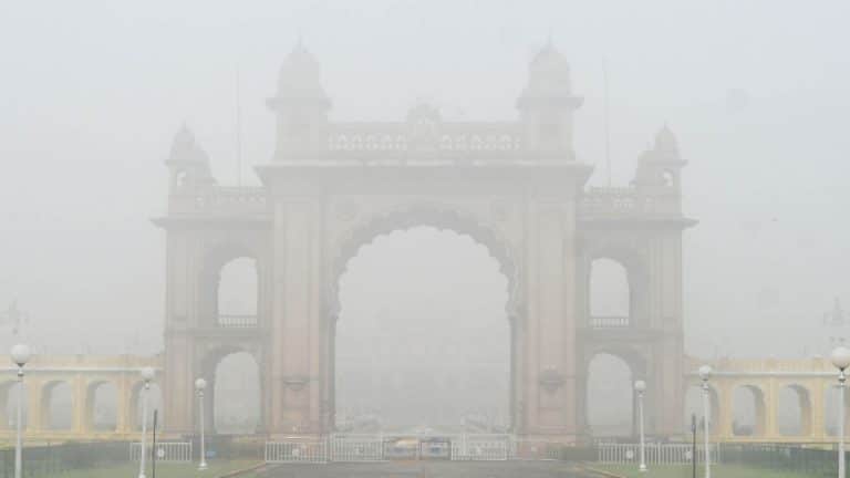Winter is here! - Star of Mysore
