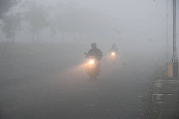 Winter is here! - Star of Mysore