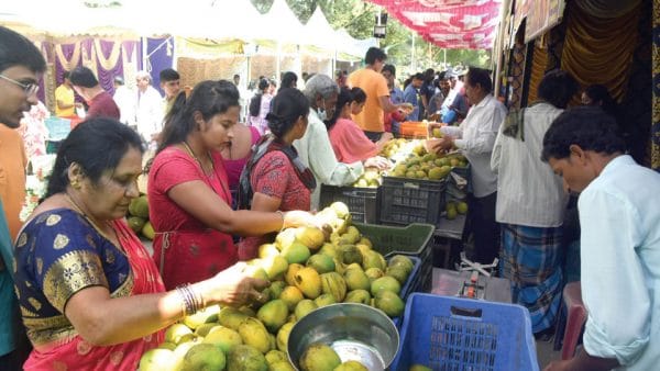 Mango Mela to conclude today - Star of Mysore