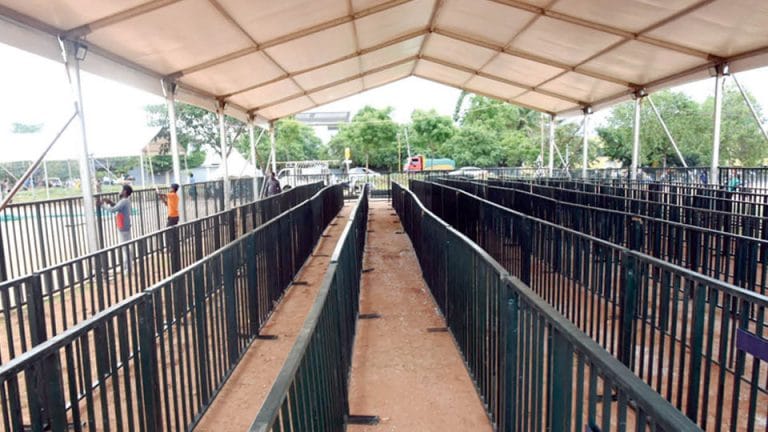 2022's first Ashada Friday tomorrow - Star of Mysore