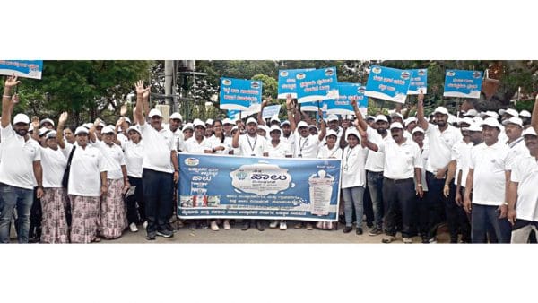MyMUL takes out rally on World Milk Day - Star of Mysore