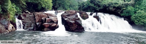 Kodagu waterfalls roar in full glory - Star of Mysore