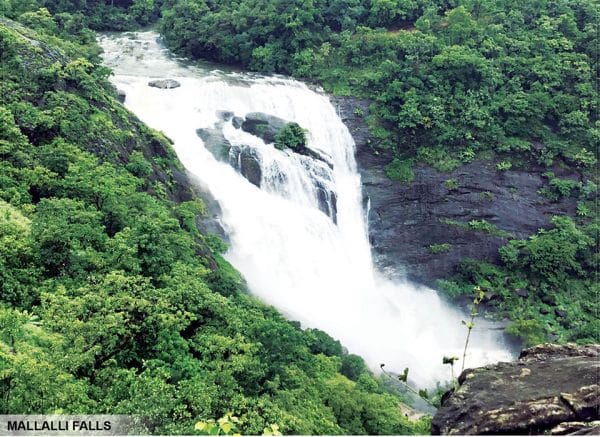 Kodagu waterfalls roar in full glory - Star of Mysore